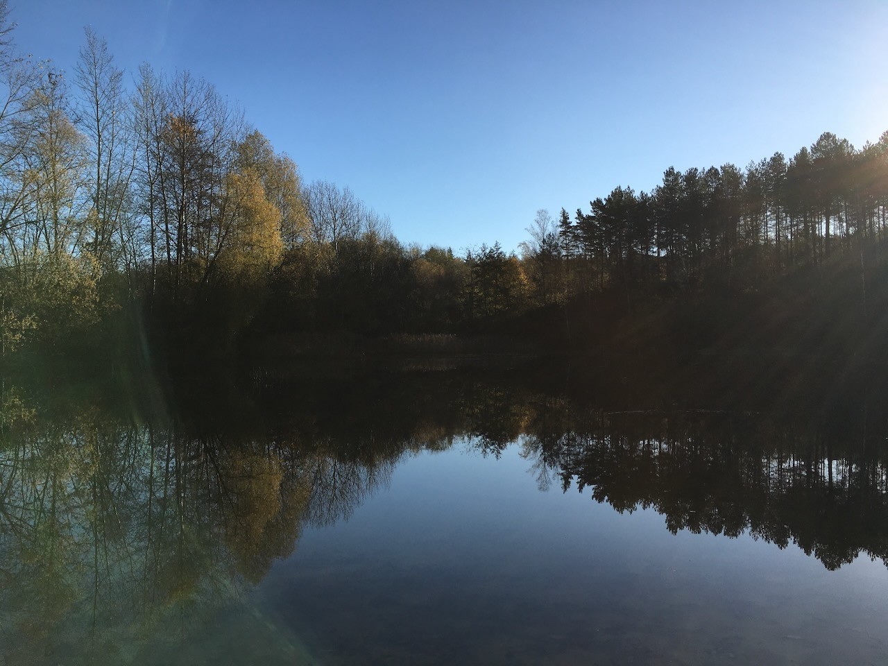 Spiegel in het woud - Wandeling